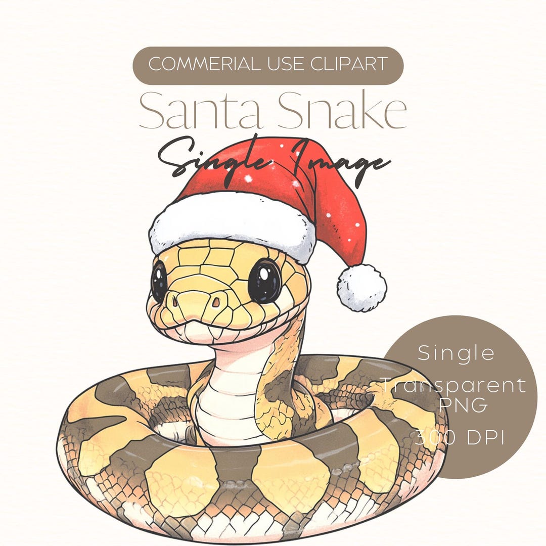 Snake Santa PNG | Cute Cartoon Holiday Clipart | Christmas Animal ...