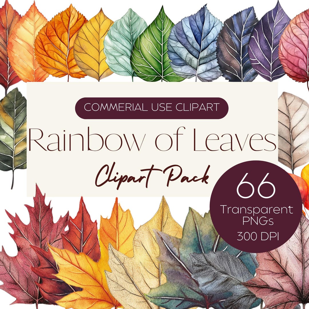 Rainbow of Leaves Clipart Pack | Autumn Leaves in Every Color | Maple ...