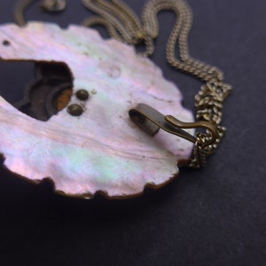 Antique Mother of Pearl Horse Racing Horseshoe Buckle Carved Shell ...