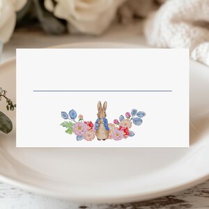 PRINTED Peter Rabbit Place Cards, Beatrix Potter Baby Boy Shower Table ...