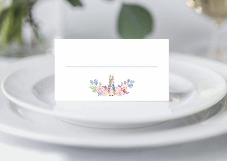 PRINTED Peter Rabbit Place Cards Beatrix Potter Baby Boy - Etsy