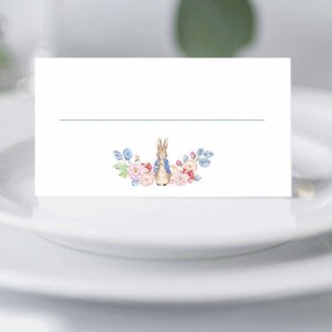 PRINTED Peter Rabbit Place Cards, Beatrix Potter Baby Boy Shower Table ...