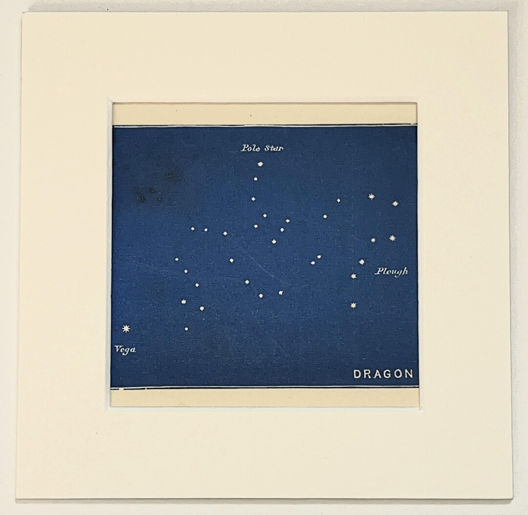 DRACO the DRAGON Constellation C. 1880 Antique Mounted Astronomy Print ...