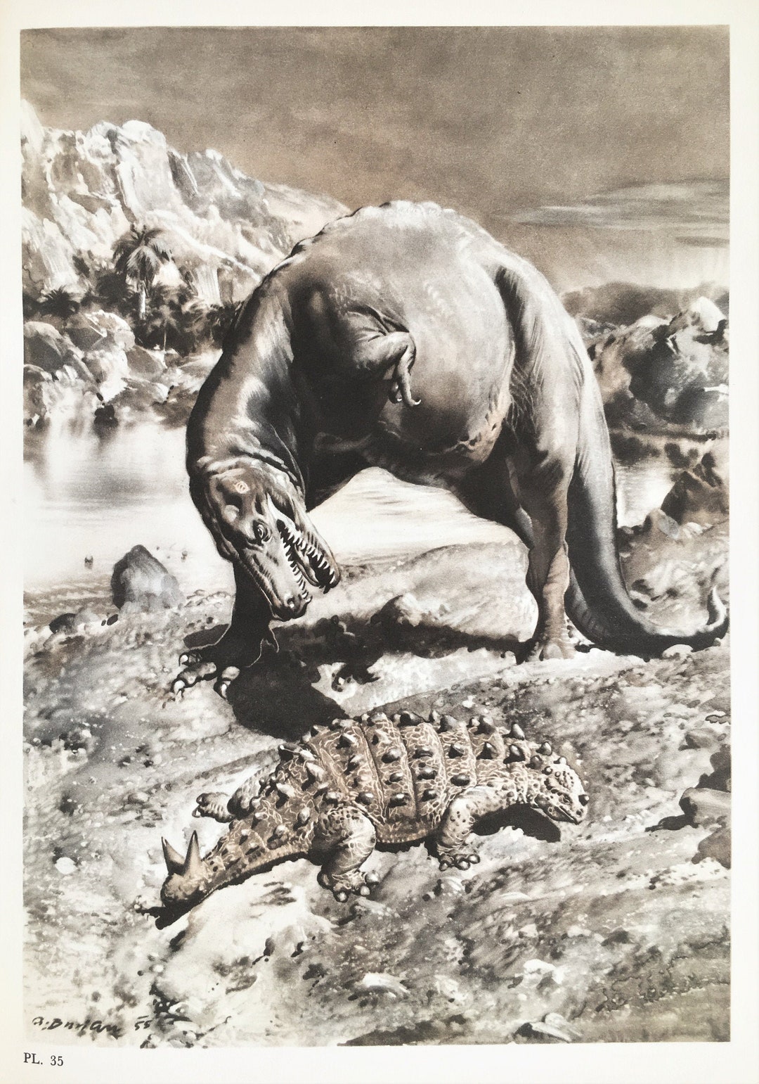 Gorgosaurus & Scolosaurus Dinosaur Cretaceous Period Vintage - Etsy