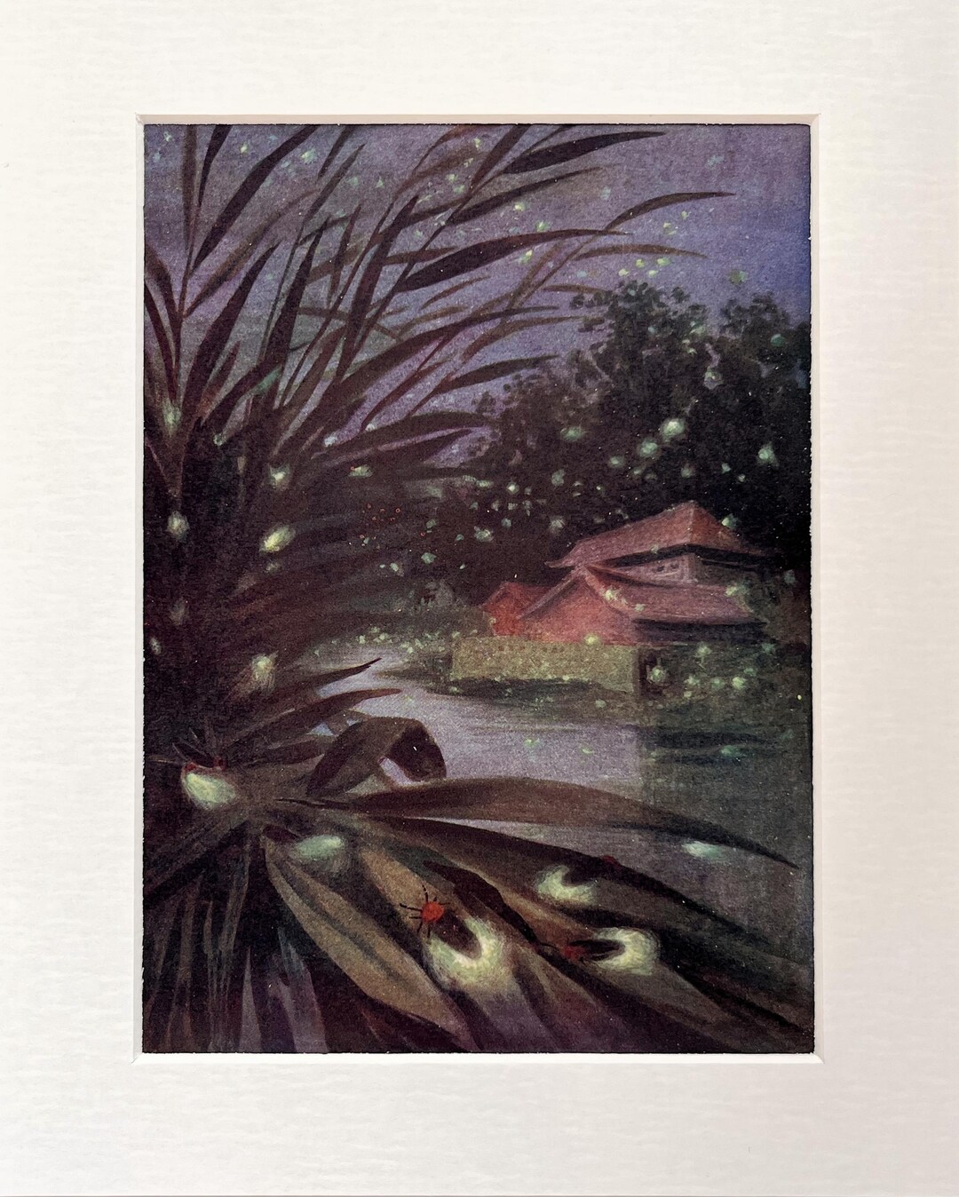 Antique FIREFLIES Firefly Mounted Print, Luminous Insects, Beautiful ...