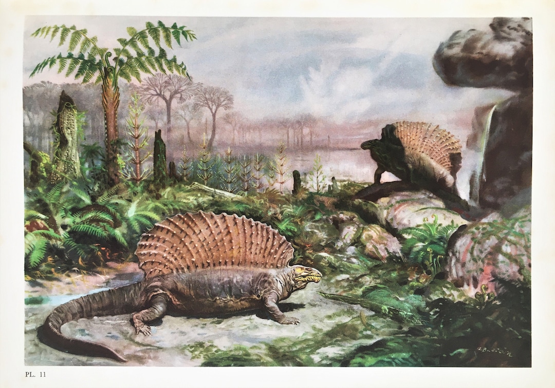 Early Reptiles Carboniferous Period
