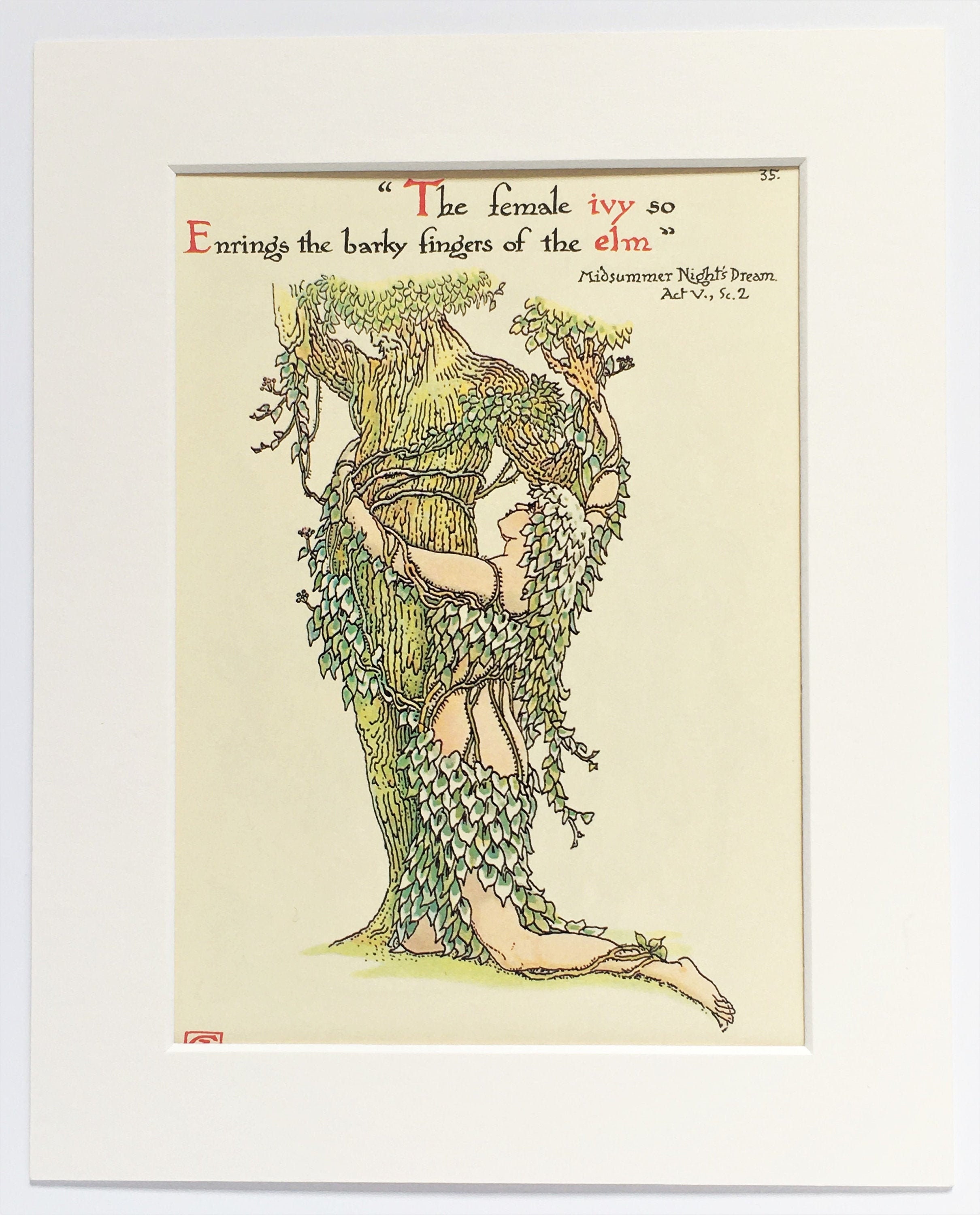 Walter Genuin for sale | Only 2 left at -75%