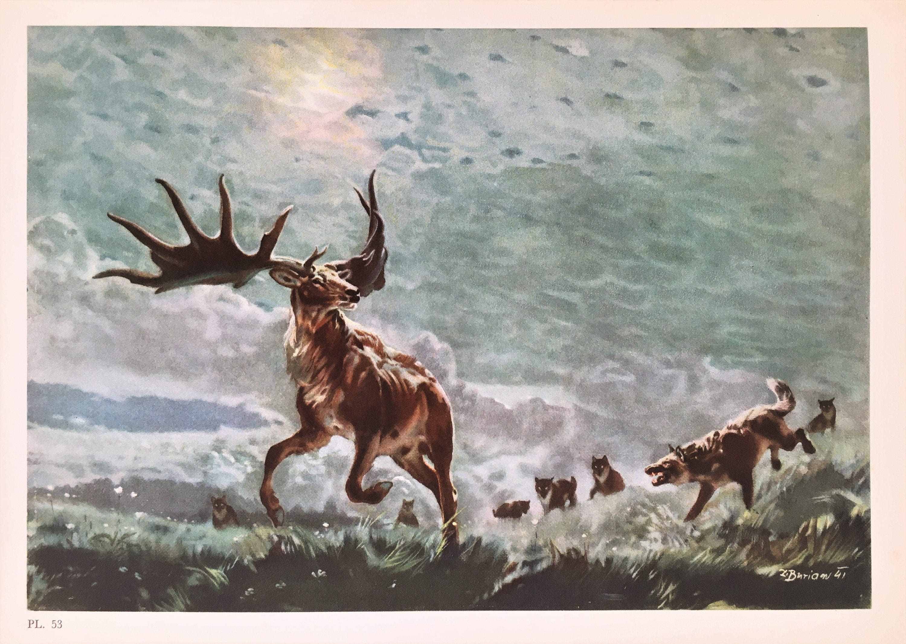 Megaloceros Pathfinder