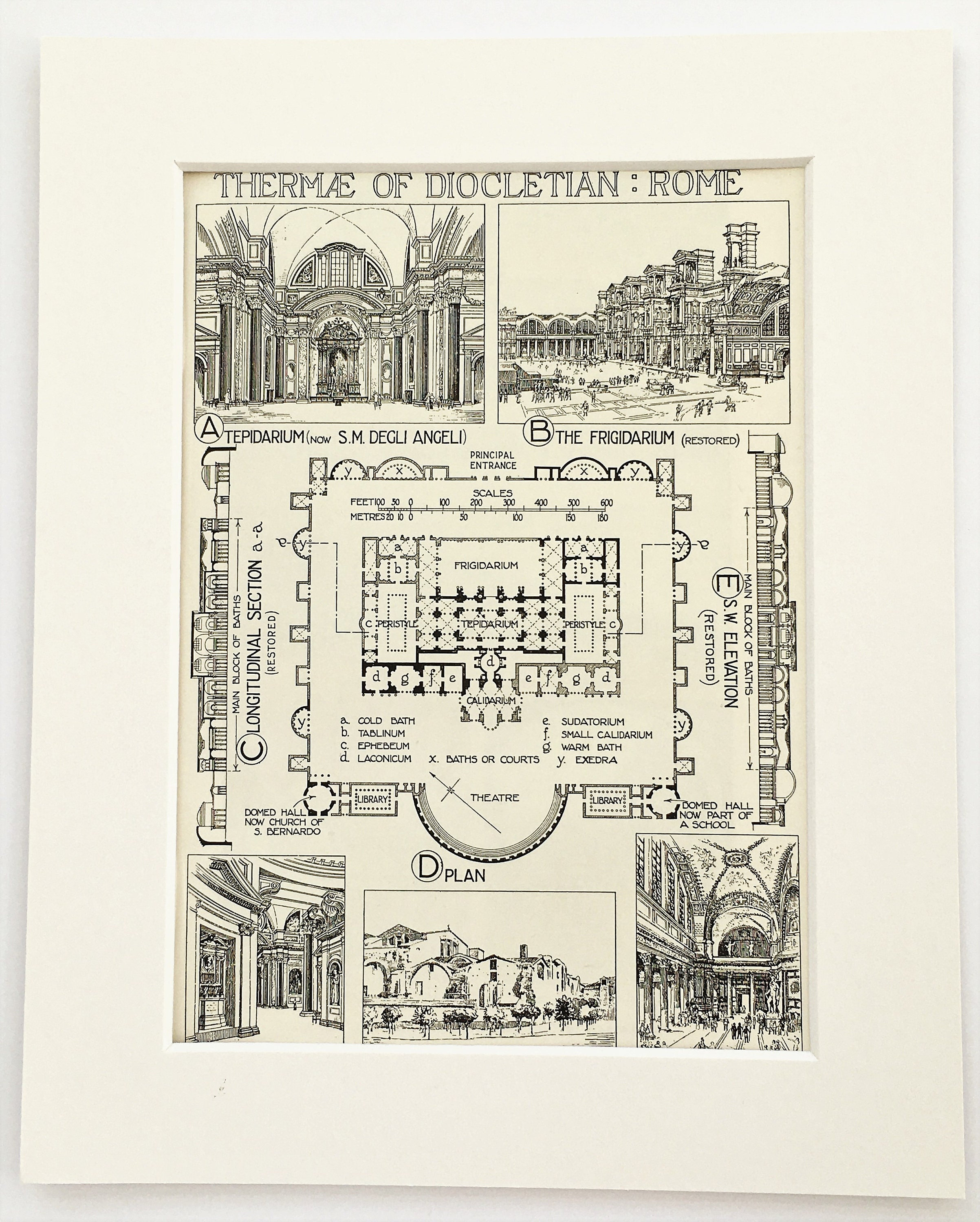 Baths Of Diocletian Plan