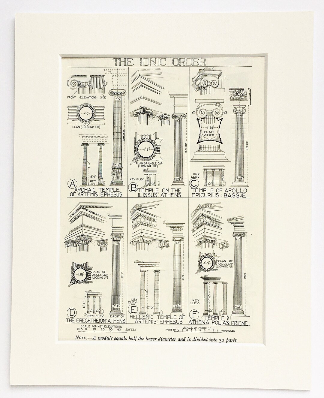 GREEK ARCHITECTURE Ionic Order Columns 1890s Antique Print - Etsy
