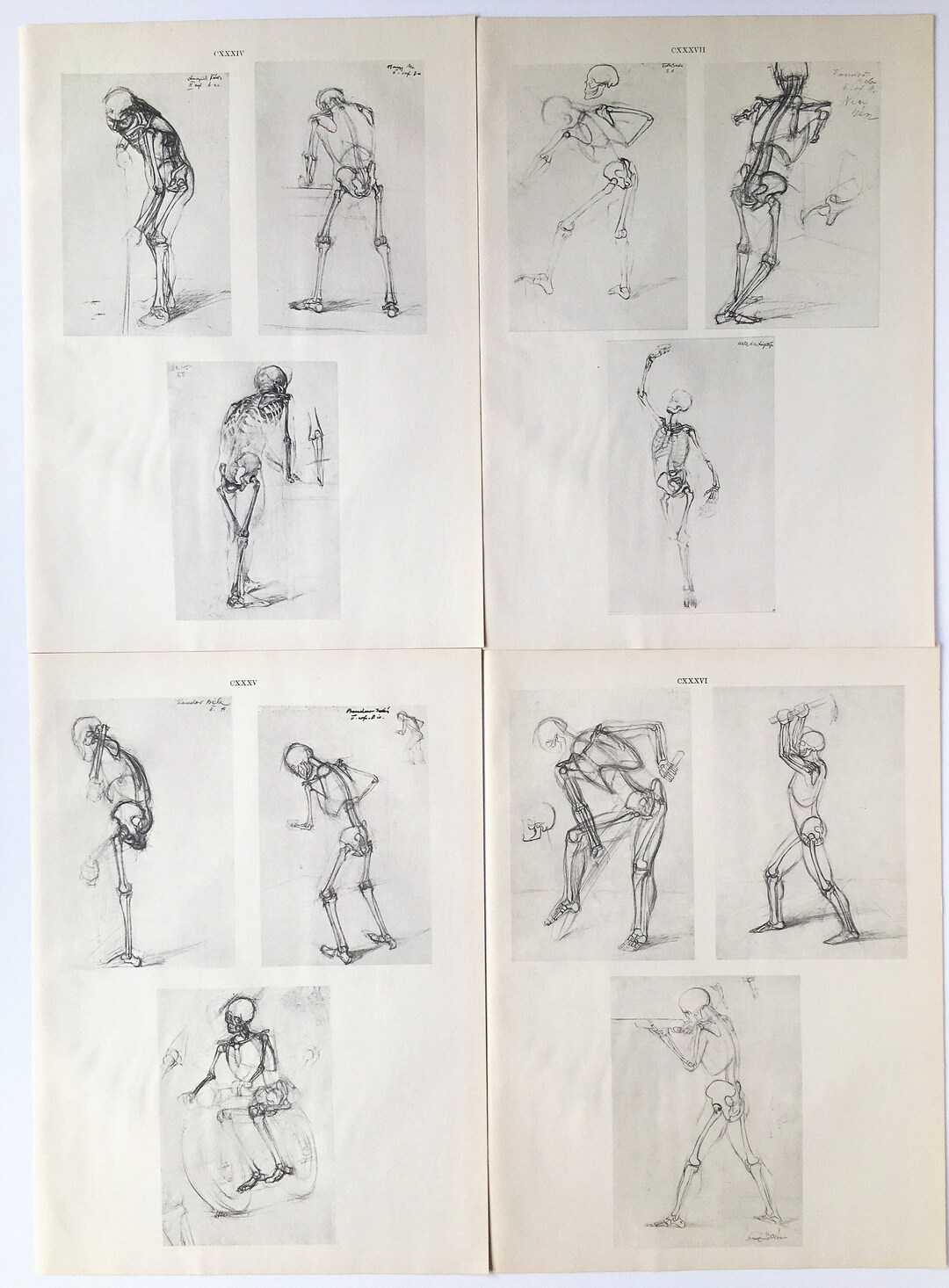 Set of 4 ANATOMY-ART Prints, Human Body, Movement - 1950s Vintage Black ...