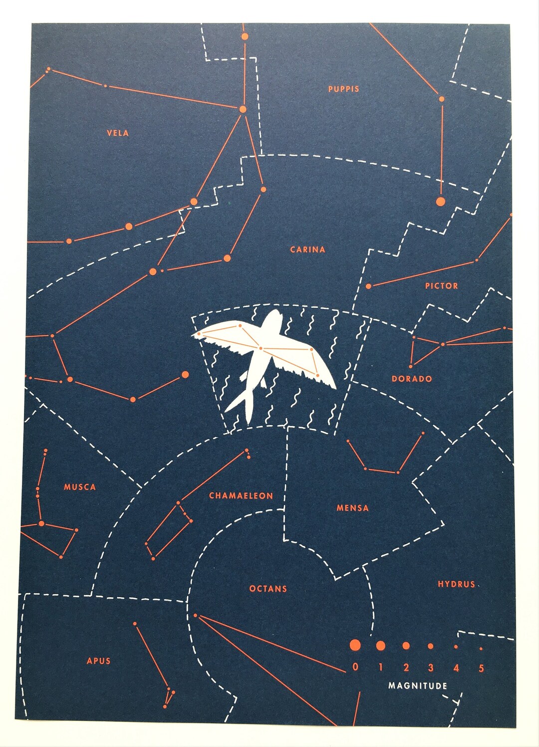 VOLANS the FLYING FISH, Astronomy Print, Dark Blue Star Chart of ...