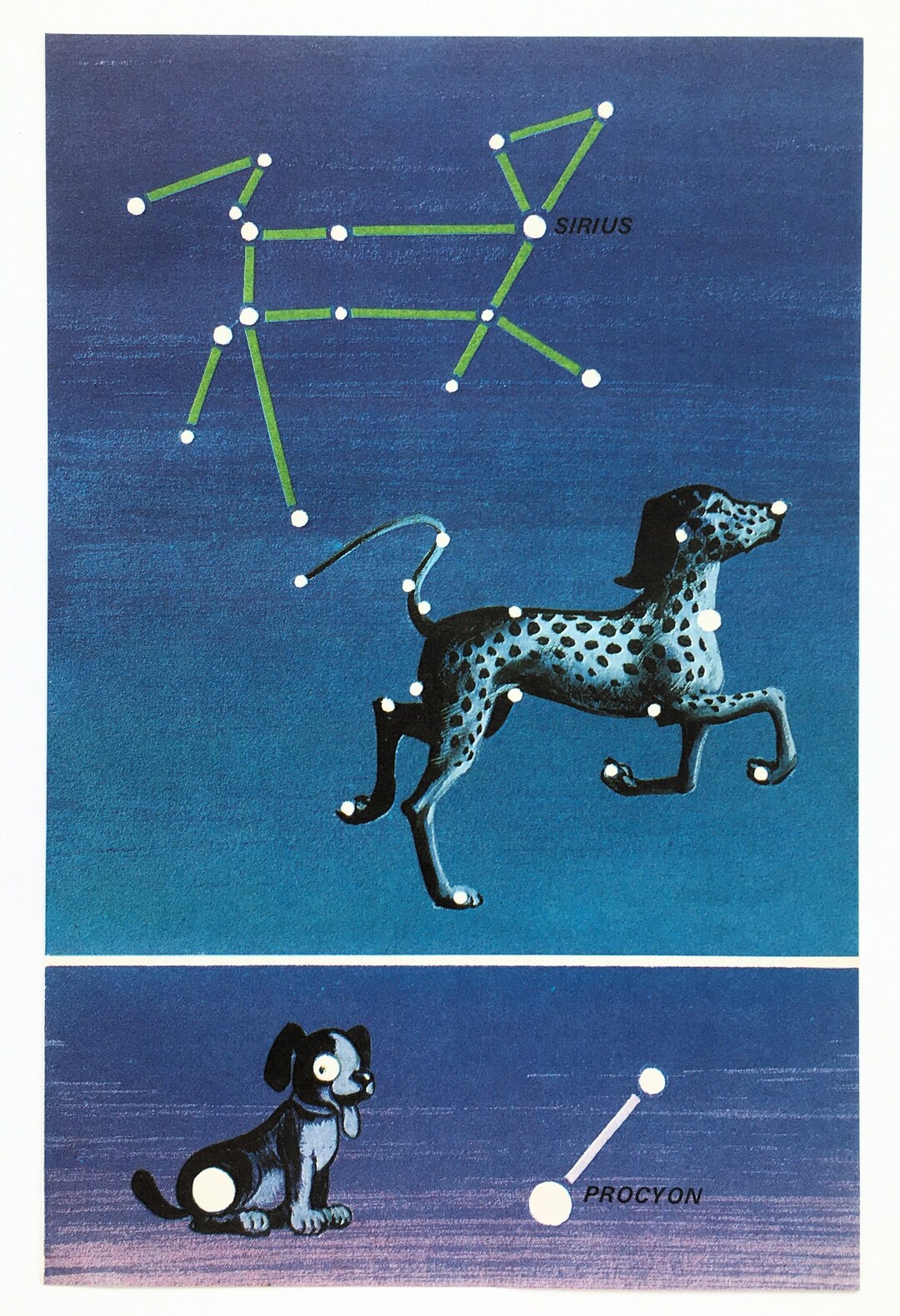 CANIS MAJOR & MINOR 1970s Small Vintage Star Chart Astronomy - Etsy