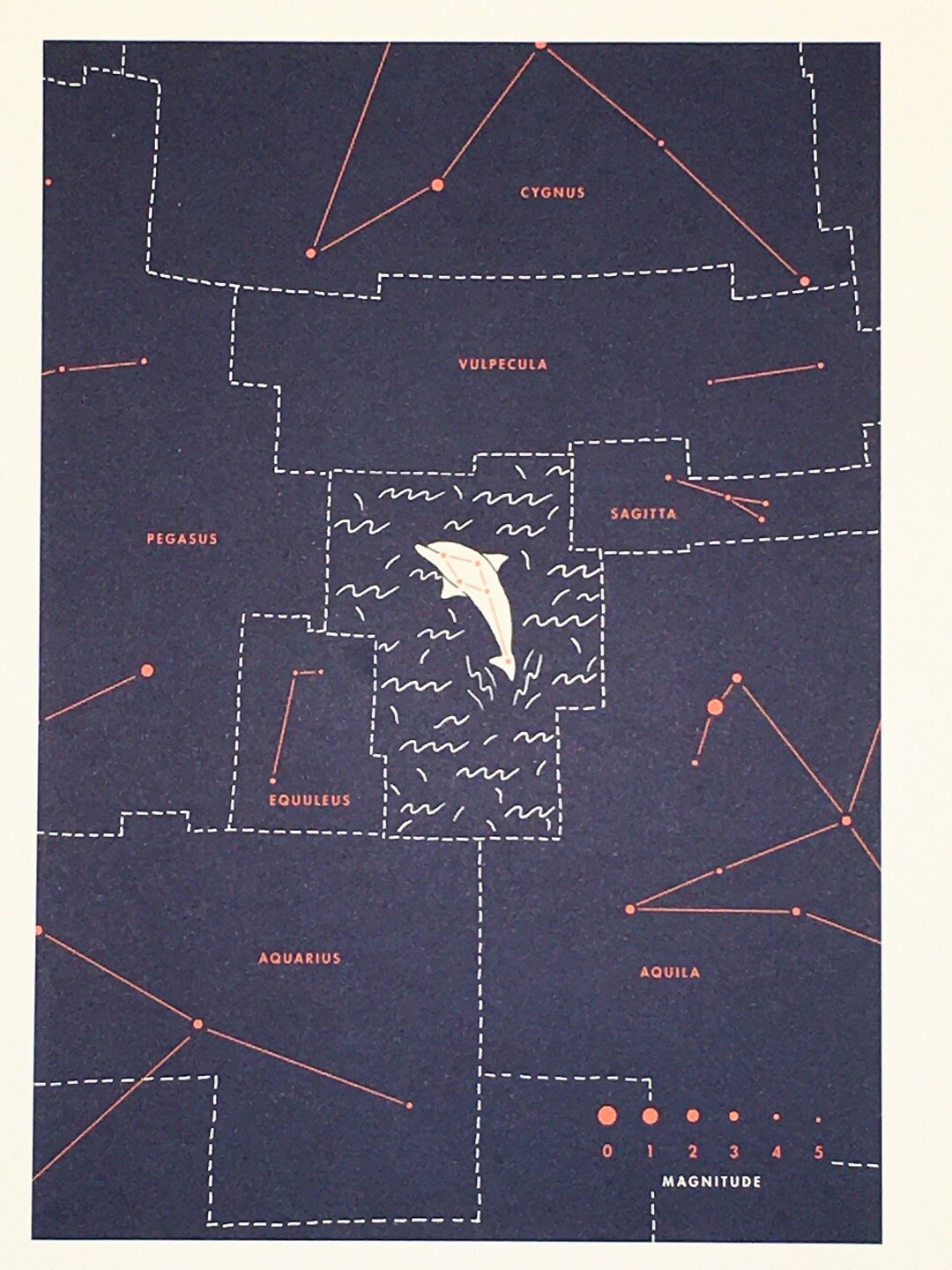 DELPHINUS the DOLPHIN, Astronomy Print, Dark Blue Star Chart of ...