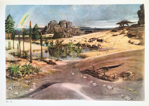 Triassic Landscape