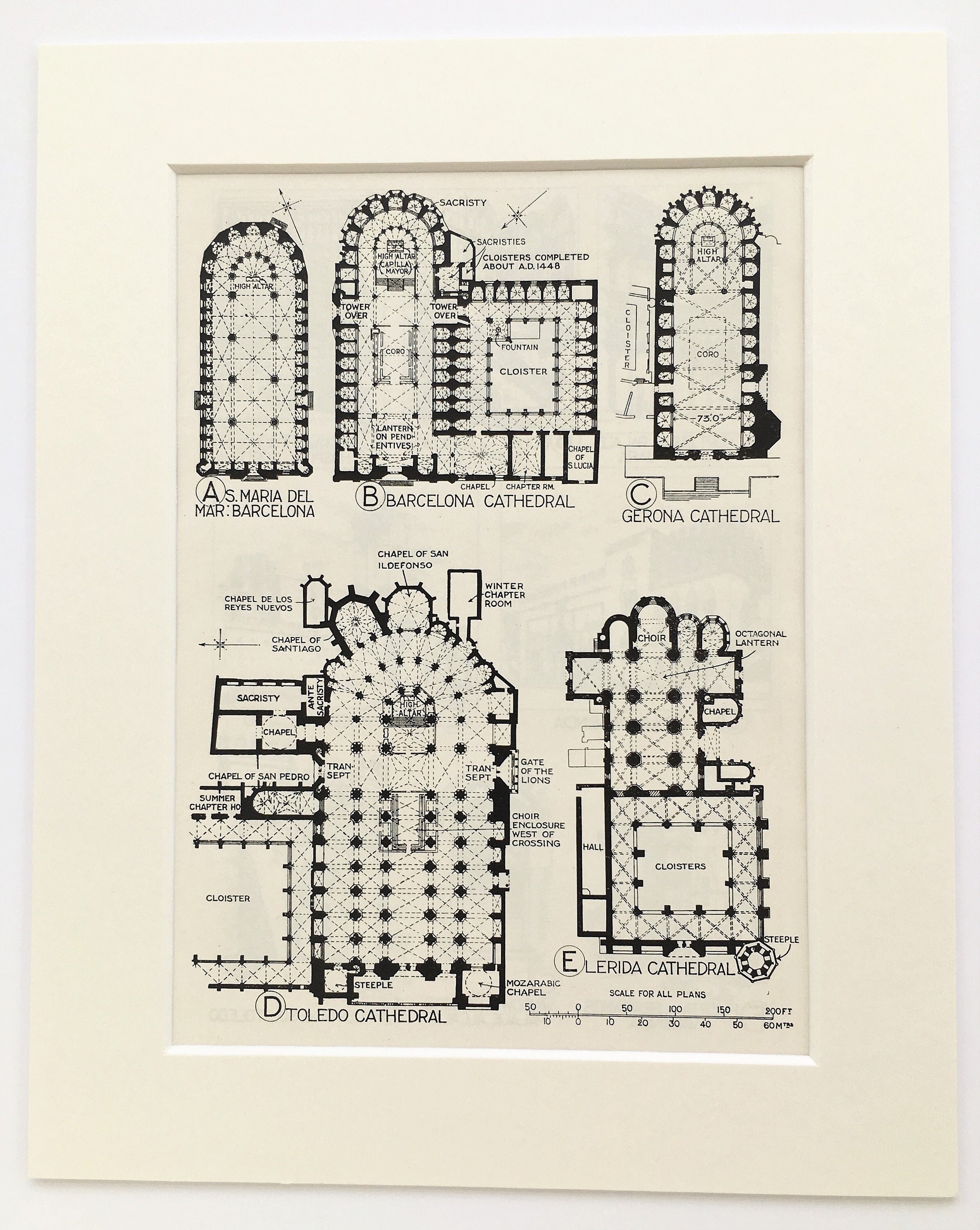 Gothic Cathedral Floor Plan
