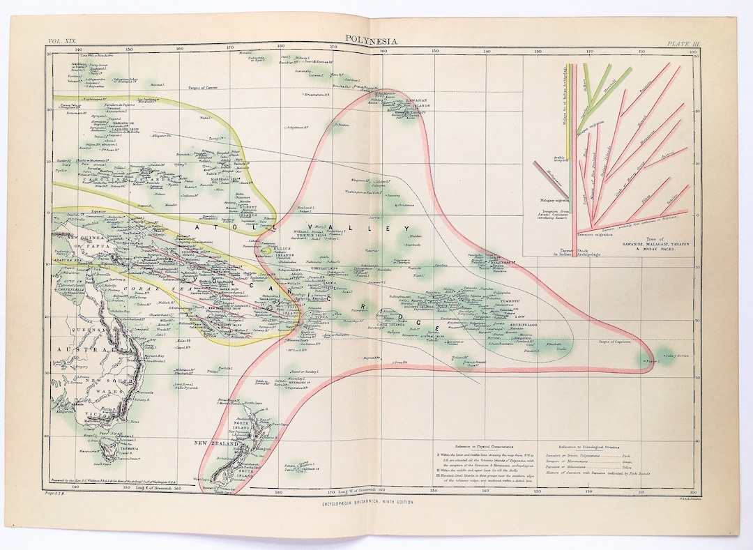 POLYNESIA Antique Colour Map, Pacific Islands. Encyclopedia Britannica ...