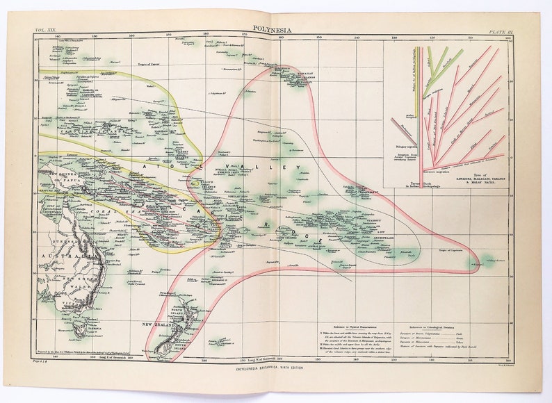 POLYNESIA Antique Colour Map Pacific Islands. Encyclopedia - Etsy