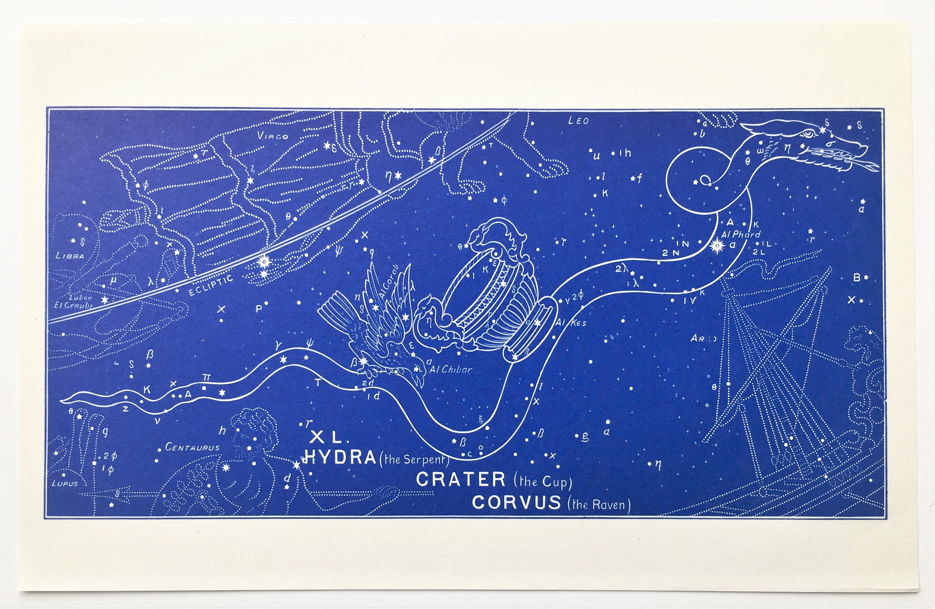 Corvus the Crow 18 Virgo the Virgin 1920s Antique Astronomy Print Small ...