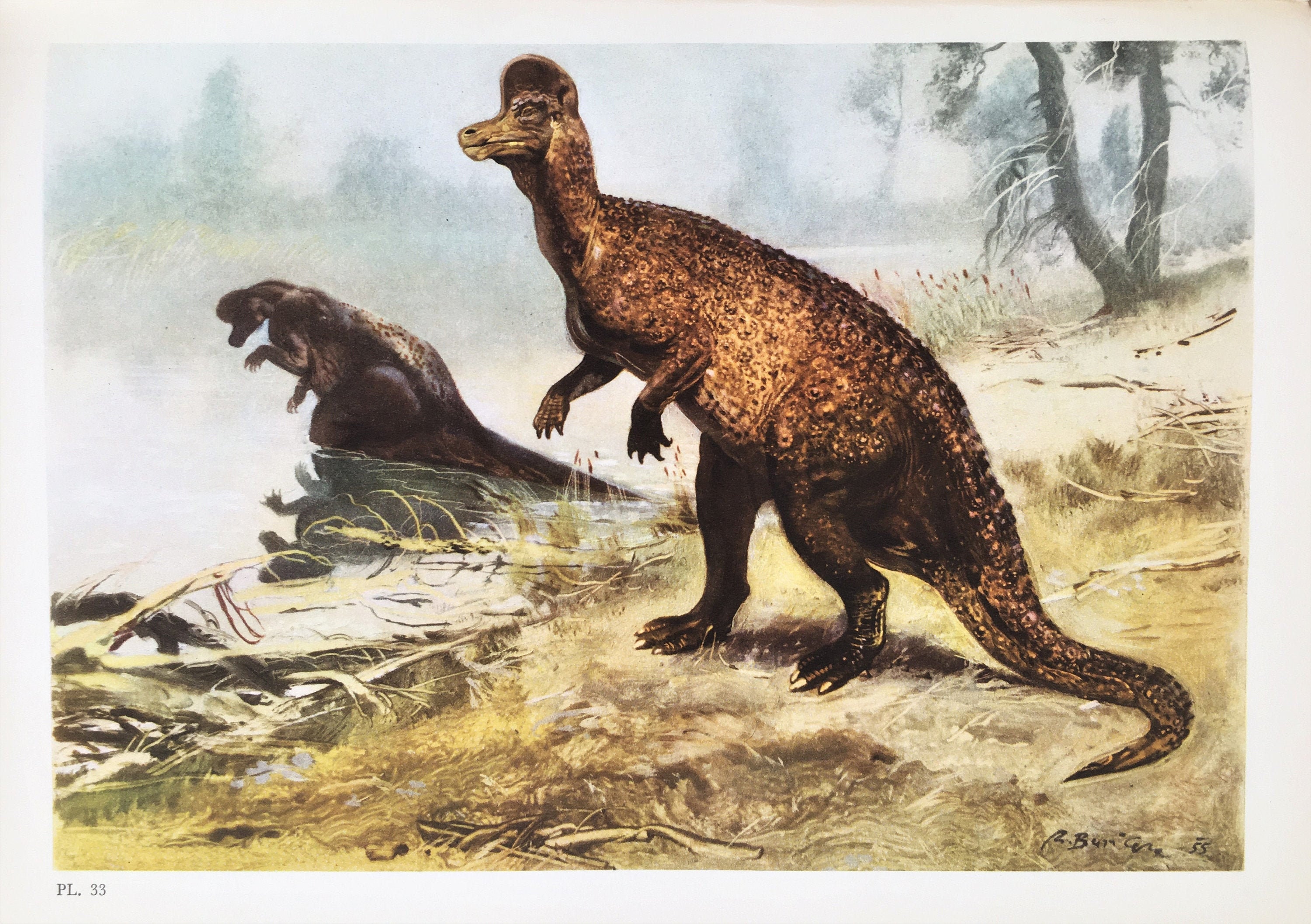 Art & Collectibles Prints Mammoth Vintage Prehistoric Animal Print ...
