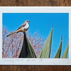 PRICKLY PERCH ~ Handmade 5x7 Photo Greeting Card - Card Stock and Envelope Made From 100% ...