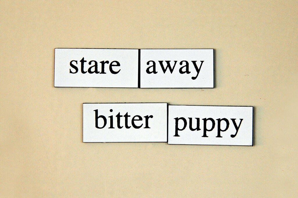 STARE AWAY Bitter PUPPY Handmade 5x7 Photo Greeting Card Card Stock and ...