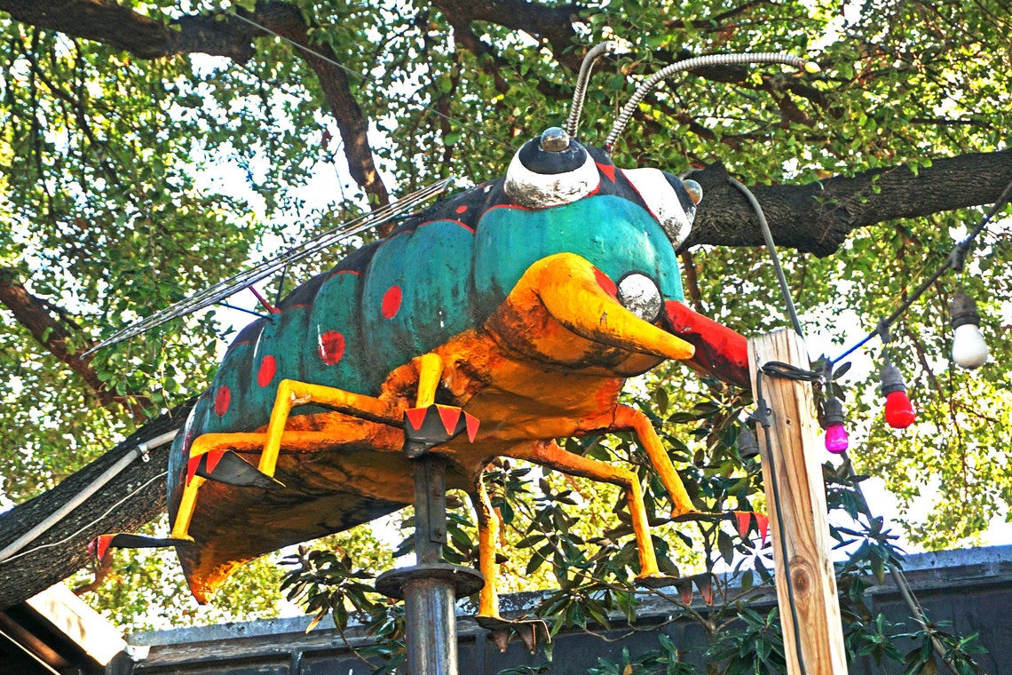 TERMINIX BUG Handmade 5x7 Photo Greeting Card Card Stock - Etsy