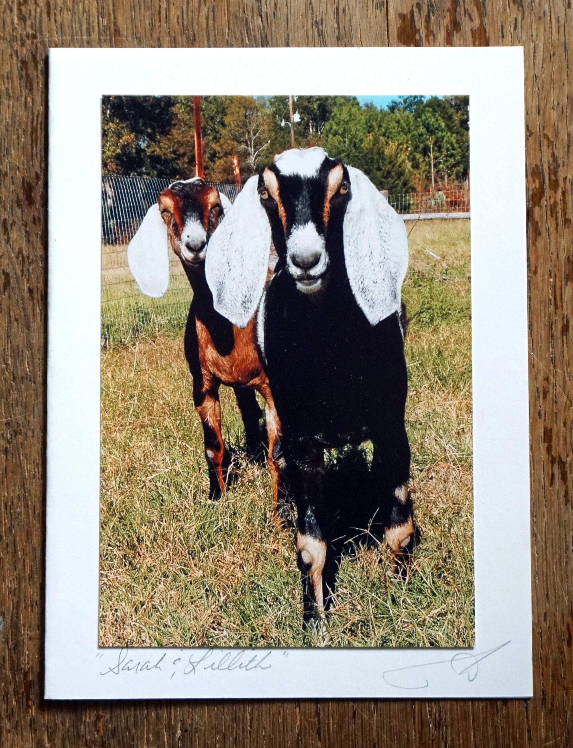 SARAH & LILLITH ~ Handmade 5x7 Photo Greeting Card - Card Stock and ...