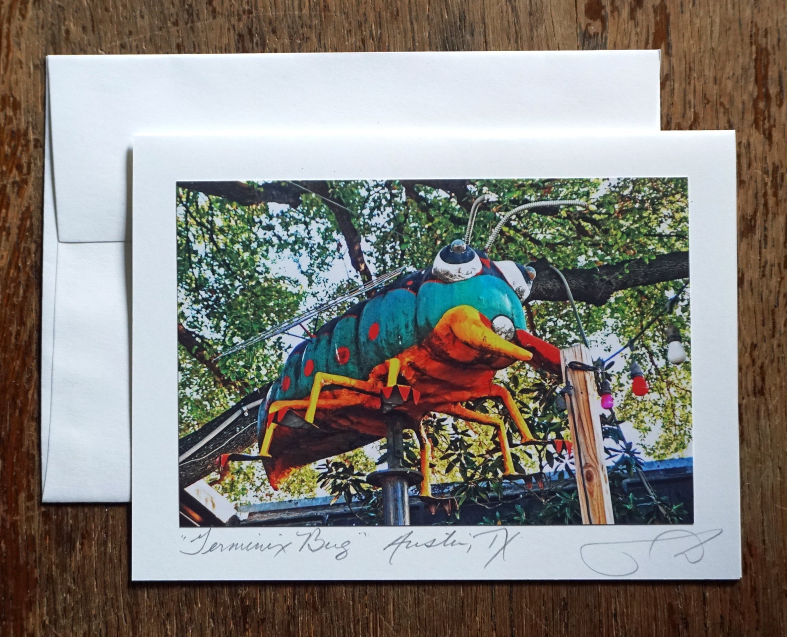 TERMINIX BUG Handmade 5x7 Photo Greeting Card Card Stock | Etsy