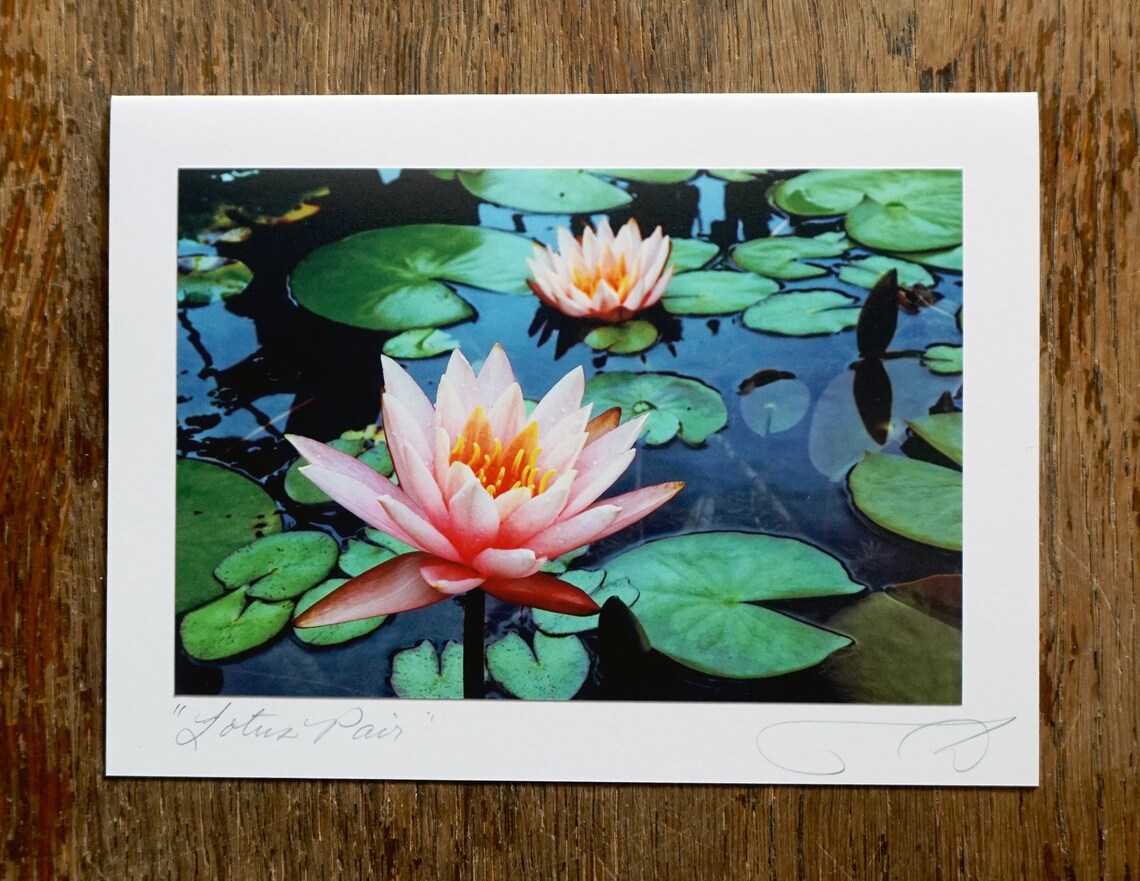 LOTUS PAIR ~ Handmade 5x7 Photo Greeting Card - Card Stock and Envelope ...