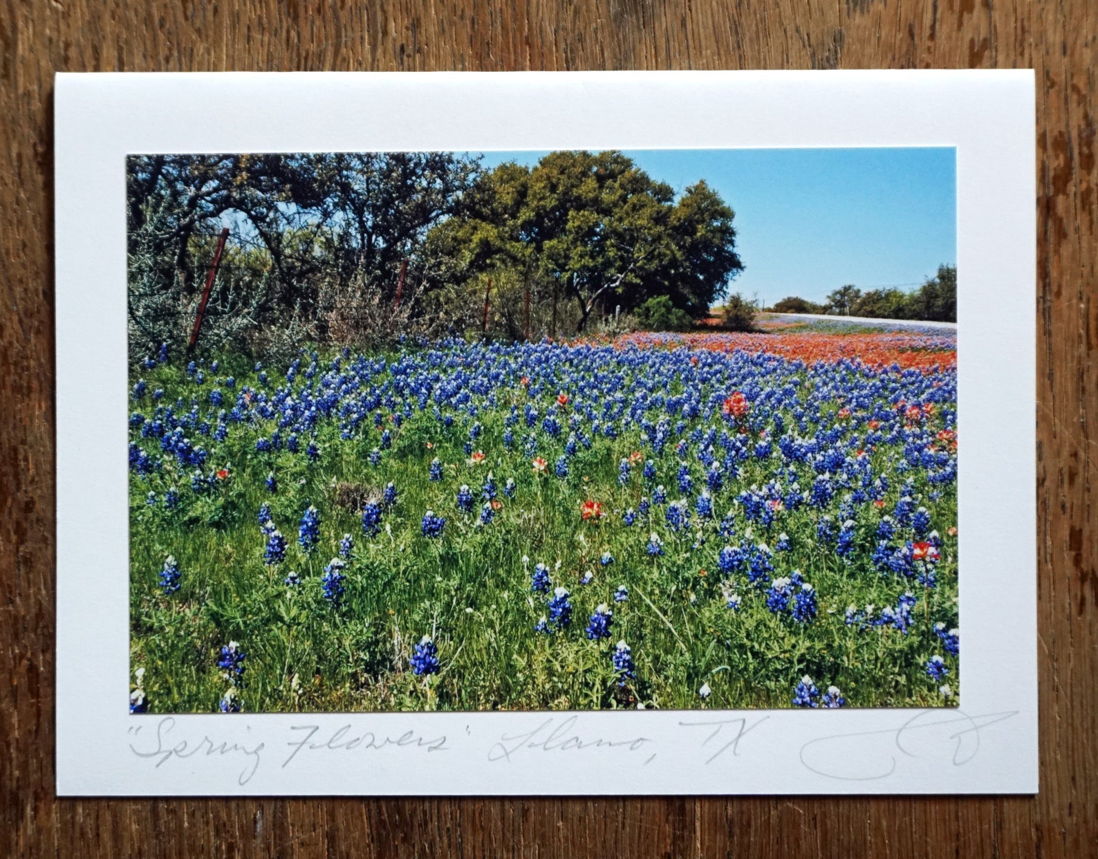 SPRING FLOWERS ~ Handmade 5x7 Photo Greeting Card - Card Stock and ...