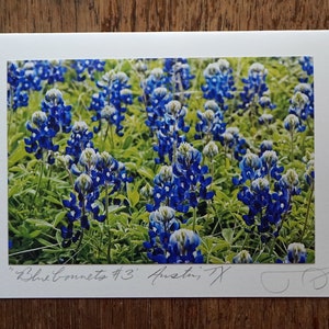 BLUEBONNETS #3 ~ Handmade 5x7 Photo Greeting Card - Card Stock and ...