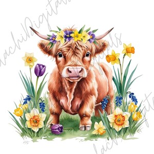 14 PNG Spring Highland Cow Clipart, Flower Crown & Butterfly Digital ...