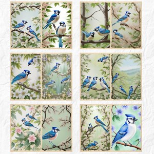 Blue Jay Junk Journal Paper Printable, Birds Scrapbook Paper, Blue Bird ...