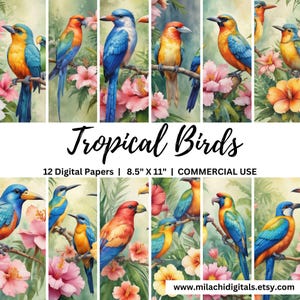 Tropical Birds Digital Paper Pack 8.5"x11", Birds Junk Journal ...