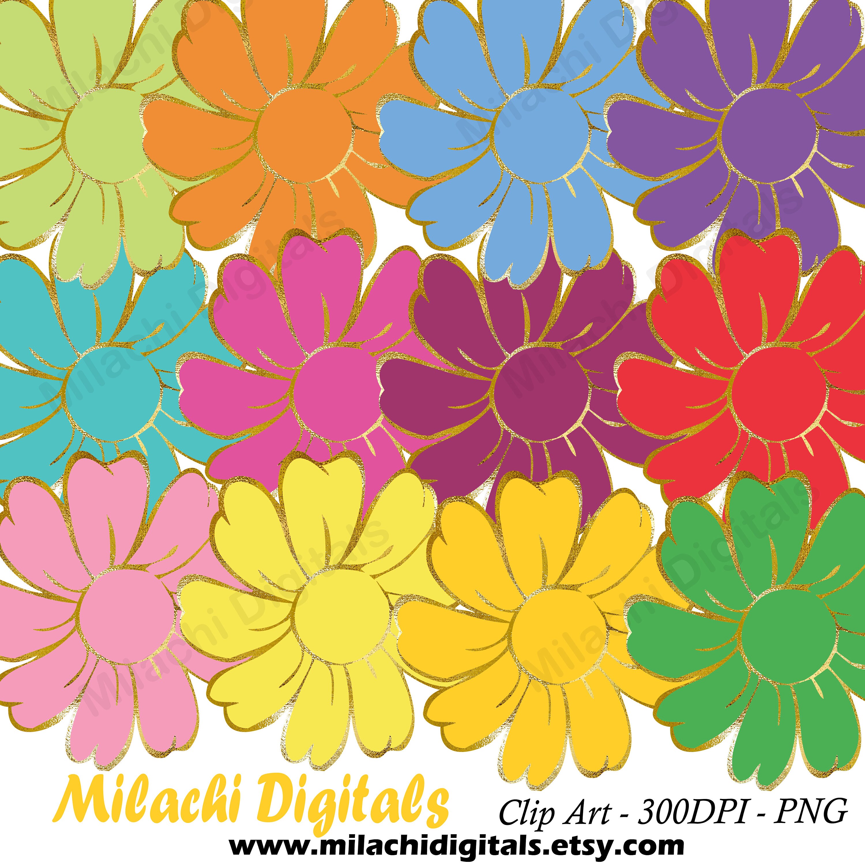 Colorful Daisies Clipart
