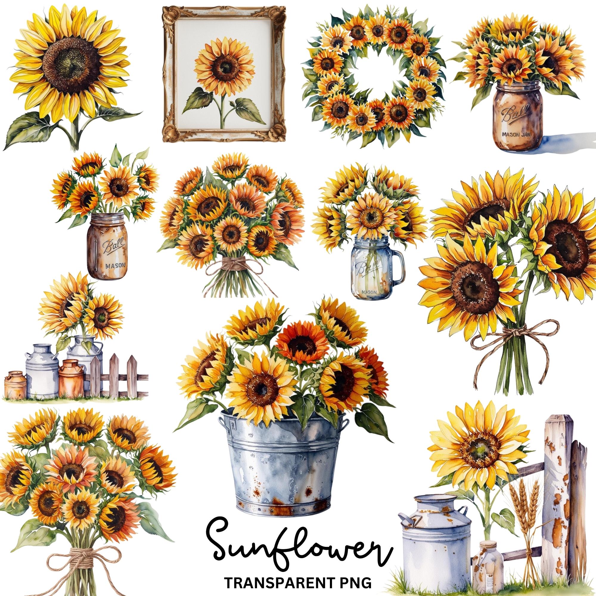 12 PNG Sunflower Clipart Bundle, Farmhouse Vibe, Sunflower in a Bucket ...