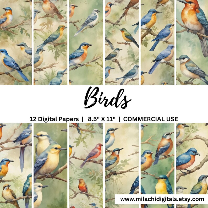 Birds Digital Paper Pack 8.5"x11", Birds Junk Journal Printable Pages ...