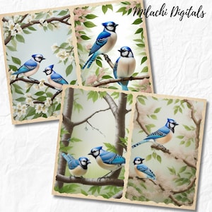 Blue Jay Junk Journal Paper Printable, Birds Scrapbook Paper, Blue Bird ...