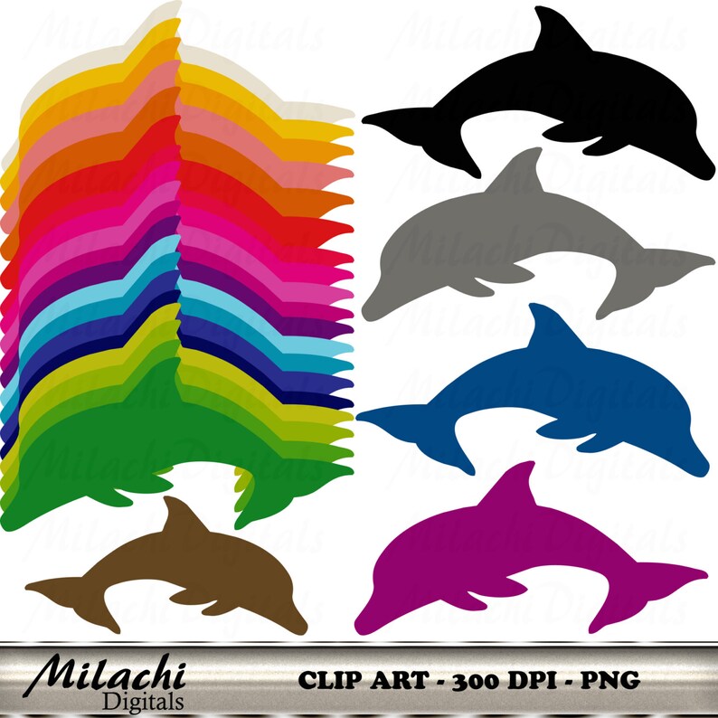 Rainbow Dolphin Digital Clip Art Commercial Use Instant - Etsy