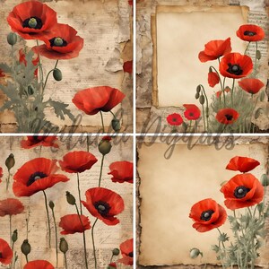 Red Poppies Digital Paper Pack 12"x12", Vintage Background, Red Poppy ...