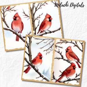 Winter Cardinal Junk Journal Printable Paper, Digital Scrapbook Paper ...