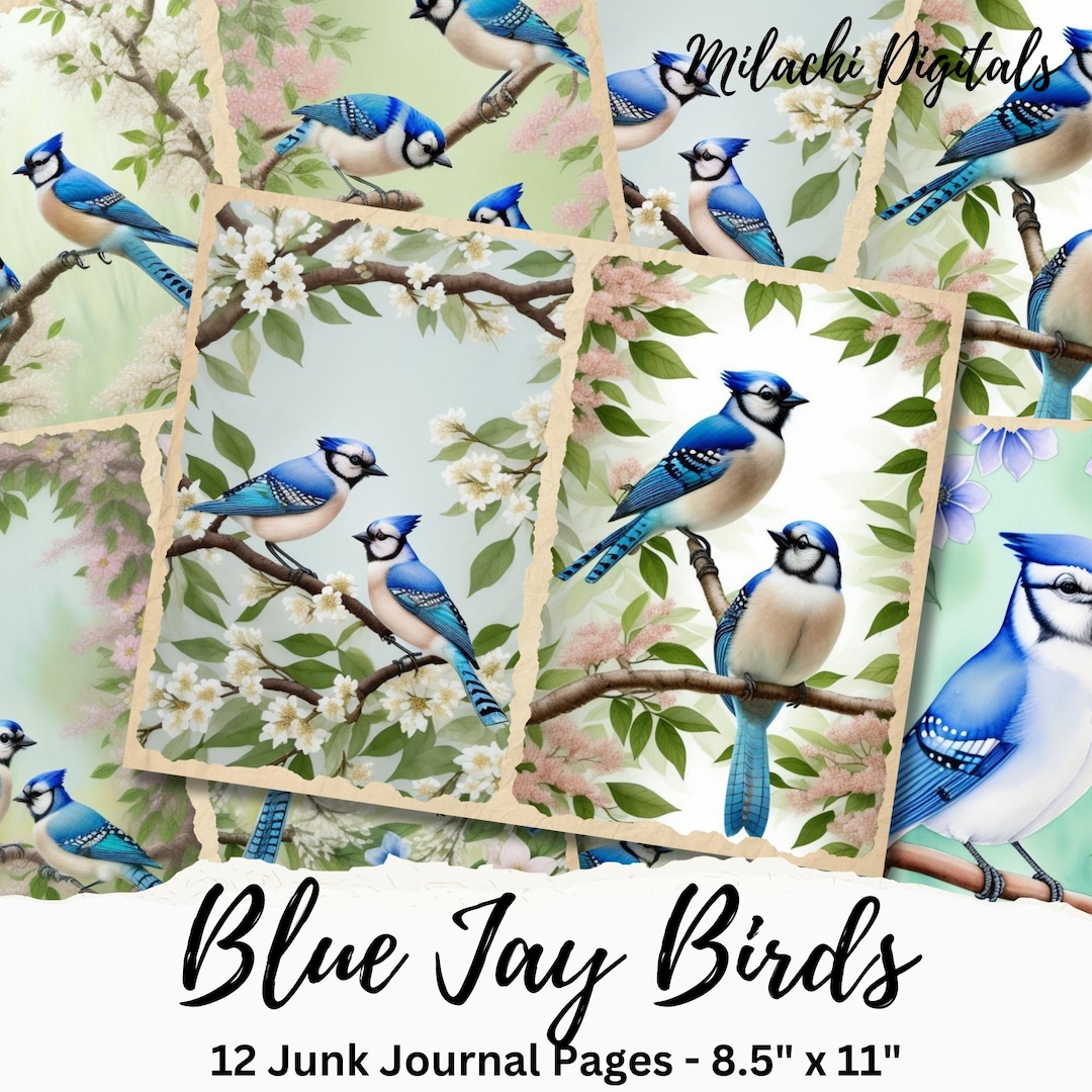 Blue Jay Junk Journal Paper Printable, Birds Scrapbook Paper, Blue Bird ...