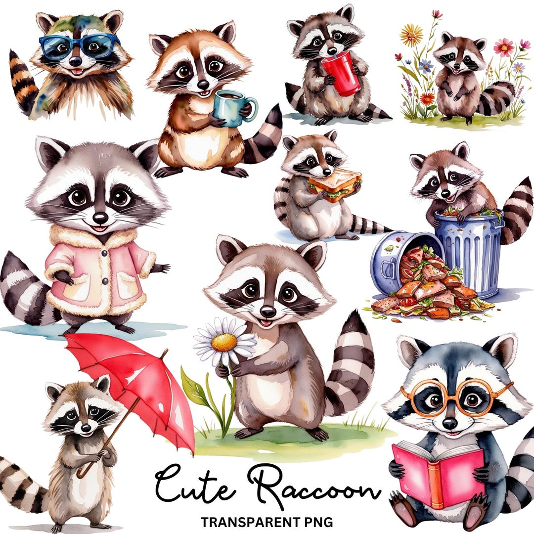 Cute Raccoon Clipart Set, 10 Pngs With Transparent Backgrounds ...