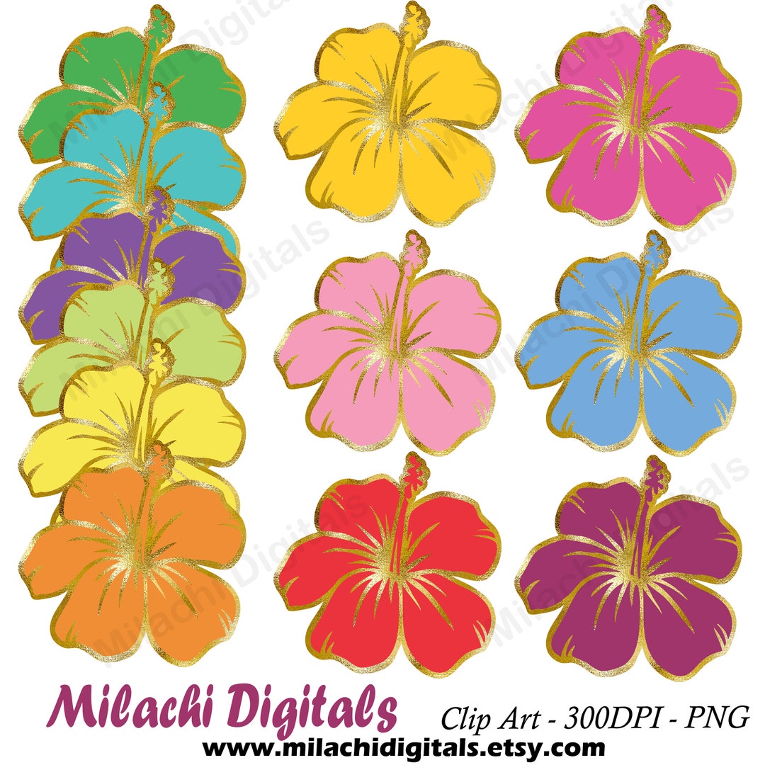 Hibiscus Clipart Flowers Clip Art Gold Hawaiian Tropical Flowers Png ...
