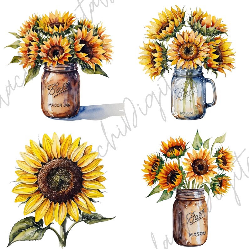12 PNG Sunflower Clipart Bundle, Farmhouse Vibe, Sunflower in a Bucket ...