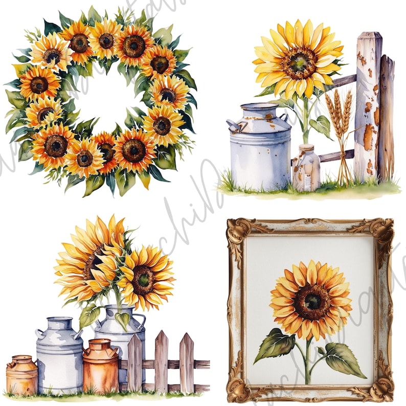 12 PNG Sunflower Clipart Bundle, Farmhouse Vibe, Sunflower in a Bucket ...