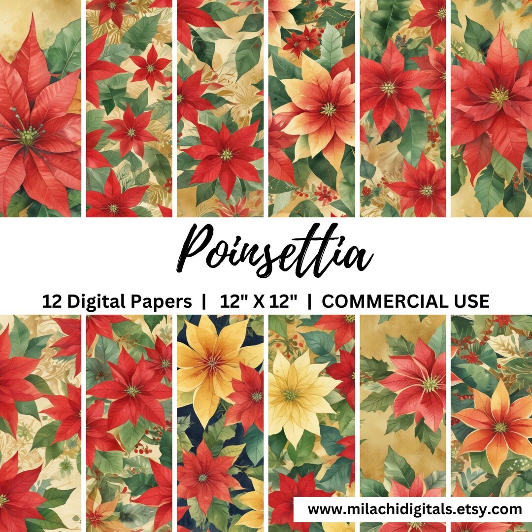 Christmas Poinsettia Digital Paper Pack 12"x12", Floral Background, DIY ...
