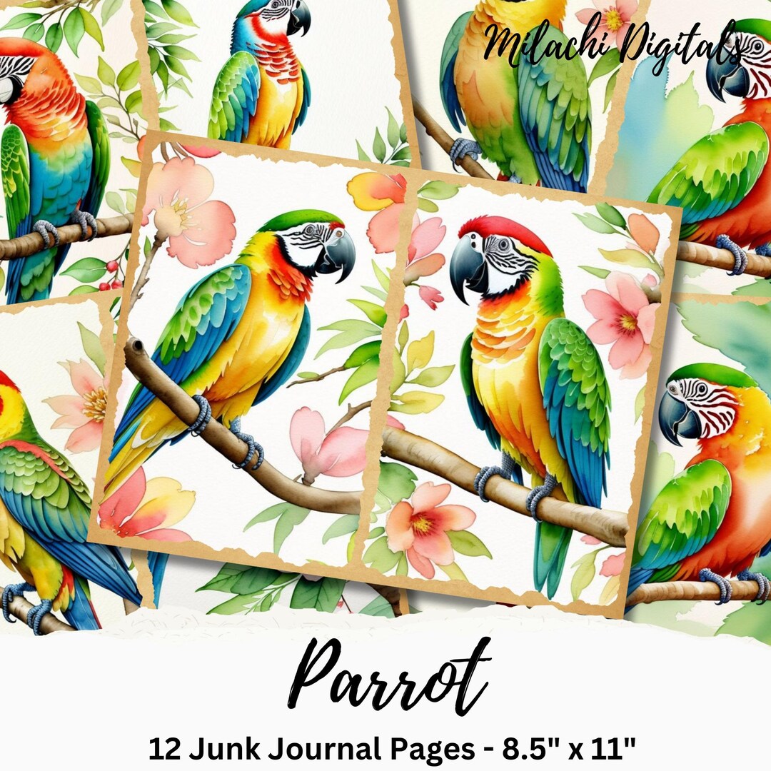 Parrot Junk Journal Printable Paper, Parrot Scrapbook Paper, Bird Junk ...