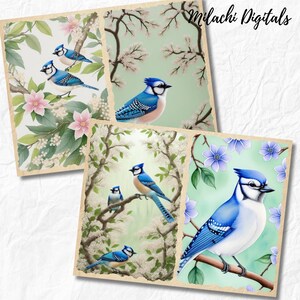 Blue Jay Junk Journal Paper Printable, Birds Scrapbook Paper, Blue Bird ...